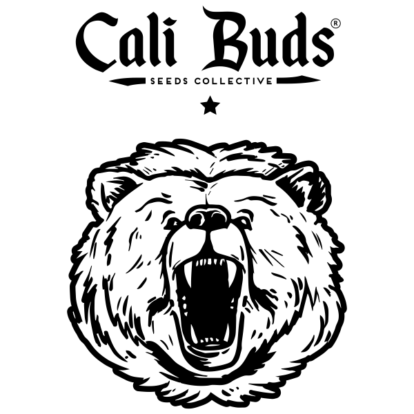 Купить семена от CALI BUDS SC с доставкой